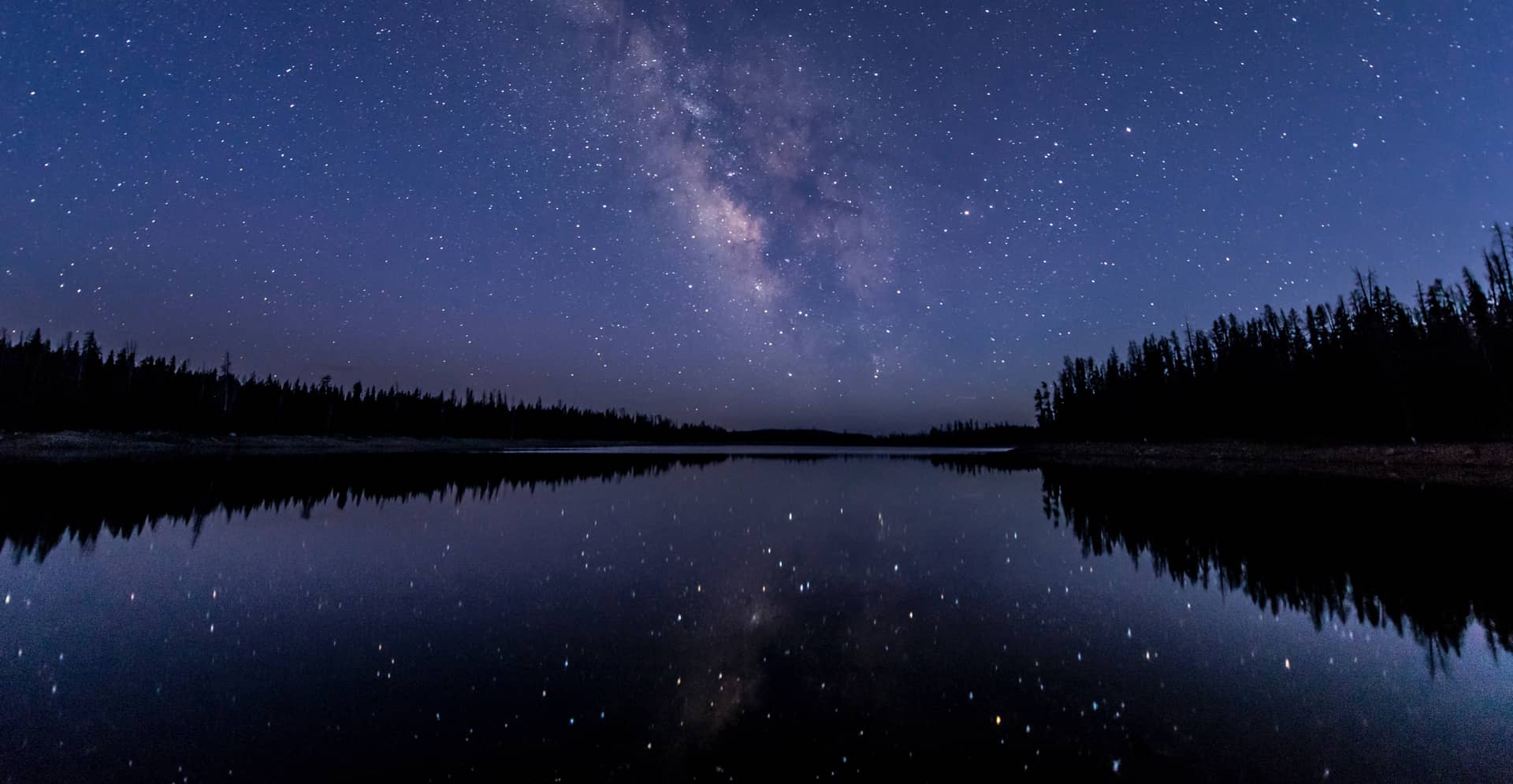 How Curiosity Can Lead Us out of Our Tribe and into Transformation ...